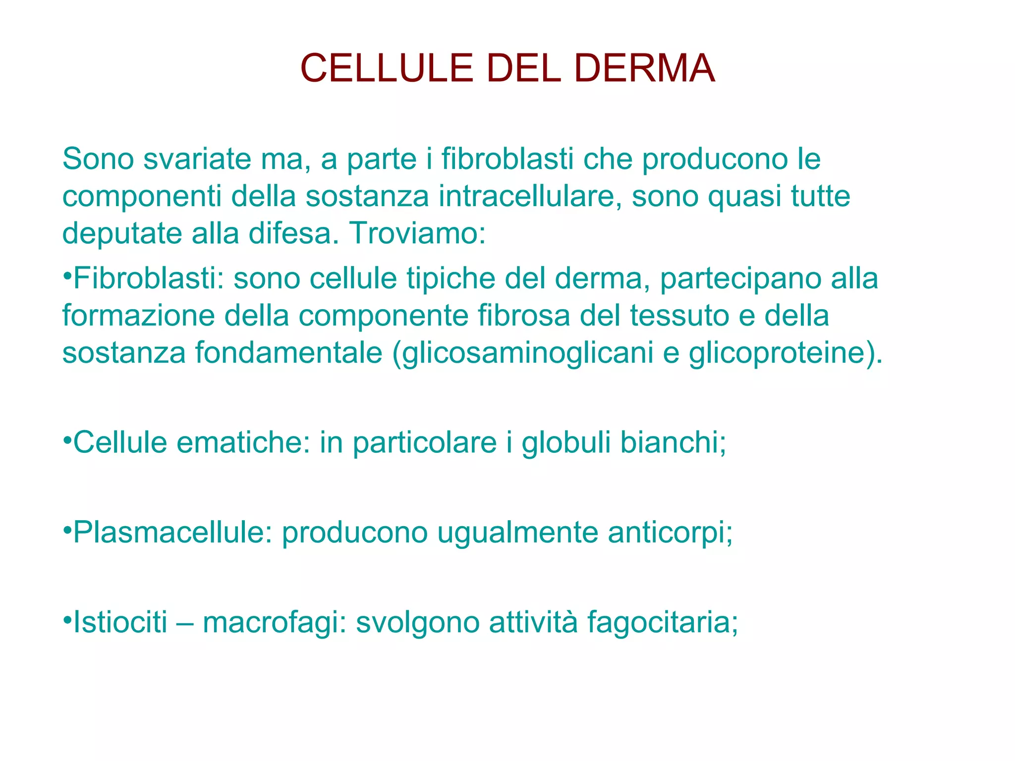 Anatomia cutanea | PPT
