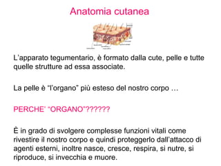 Anatomia cutanea | PPT