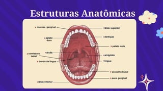 anatomia da boca para curso de tecnico em saude bucal.pptx