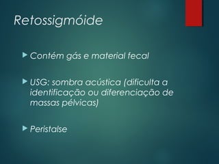 Anatomia da pelve | PPT