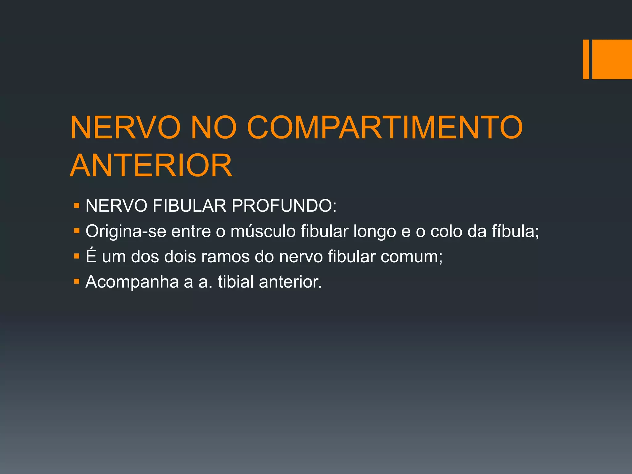 Anatomia da perna e pé | PPTX