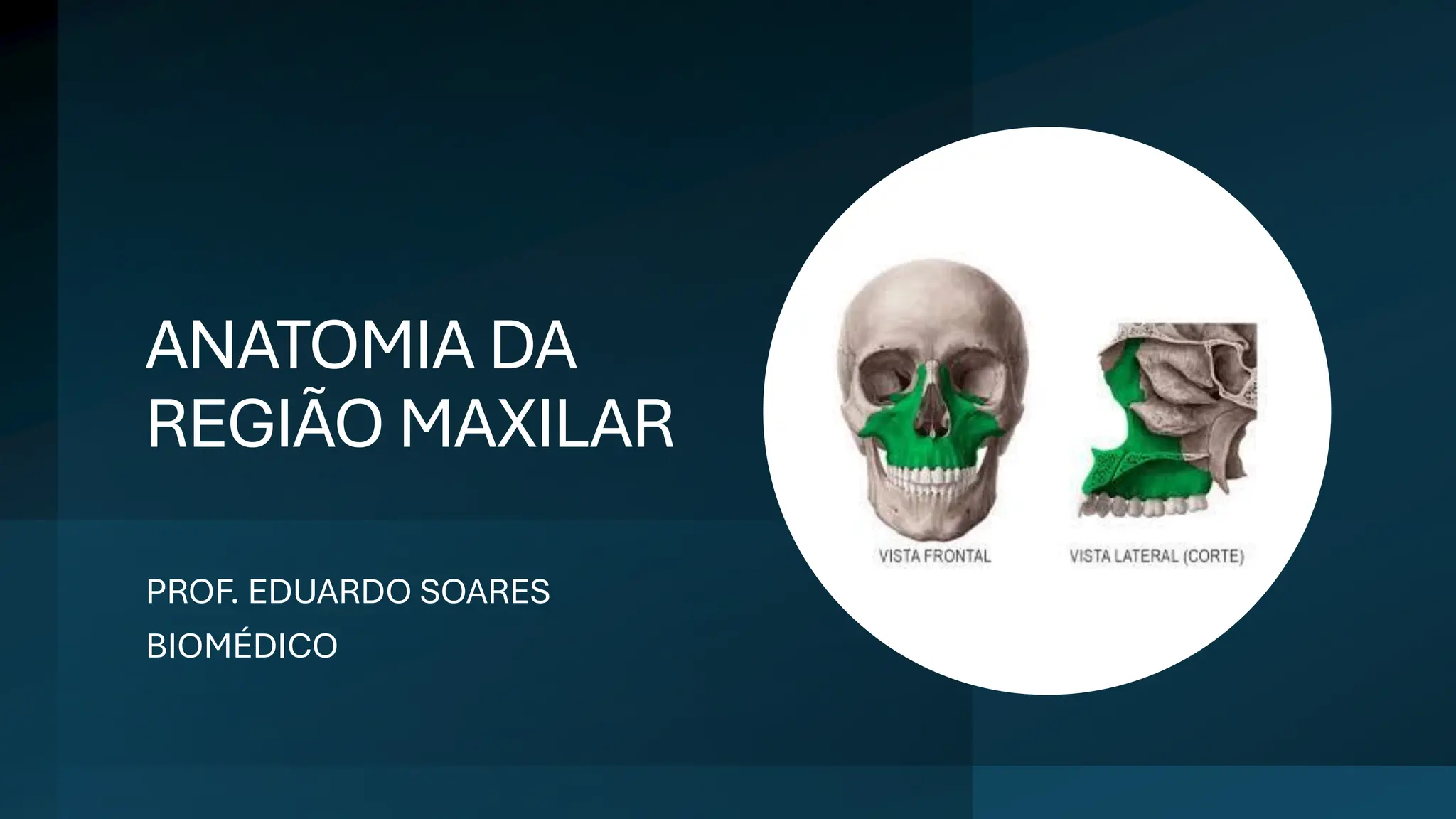 AULA DE ANATOMIA DA REGIÃO MAXILAR.pdf