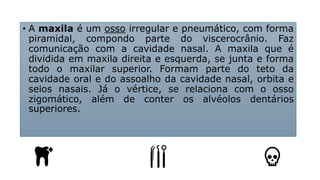 AULA DE ANATOMIA DA REGIÃO MAXILAR.pdf