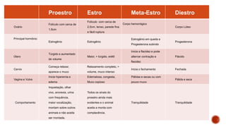 Anatomia_da_reproducao_de_suinos.pptx