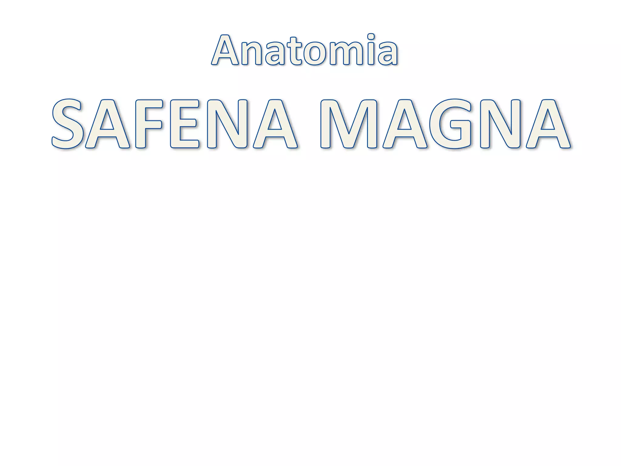 Anatomia da veia safena magna | PPTX