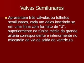 Anatomia_das_Valvas_Cardíacas.ppt
