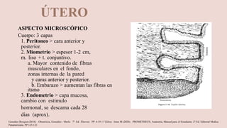 ANATOMIA DE aparato reproductor FEMENINO.pptx