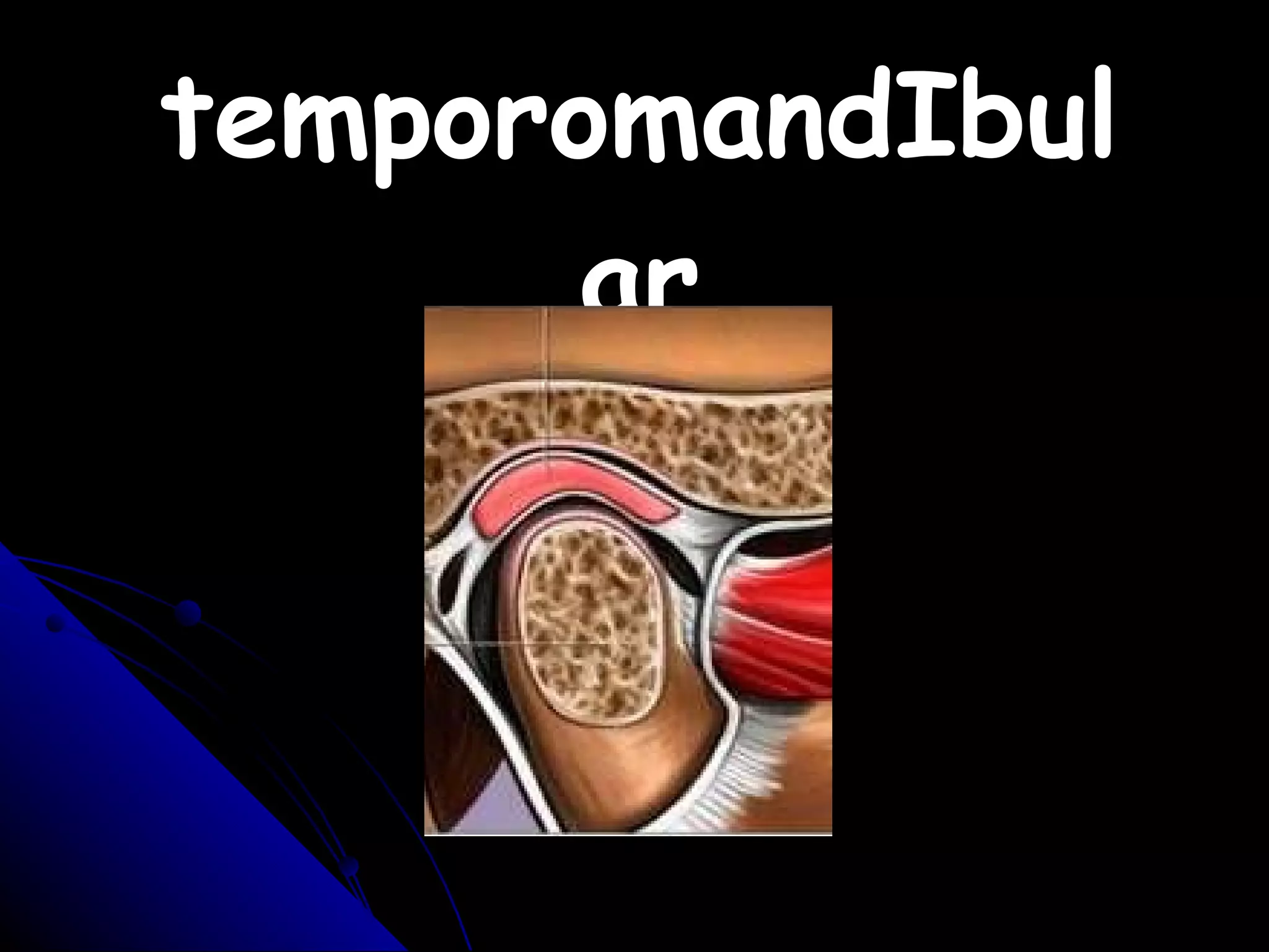 Anatomia de atm | PPT | Bone and Joint Conditions | Diseases and Conditions