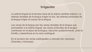 ANATOMIA DE CAVIDAD BUCAL, DIENTES Y LENGUA.pptx