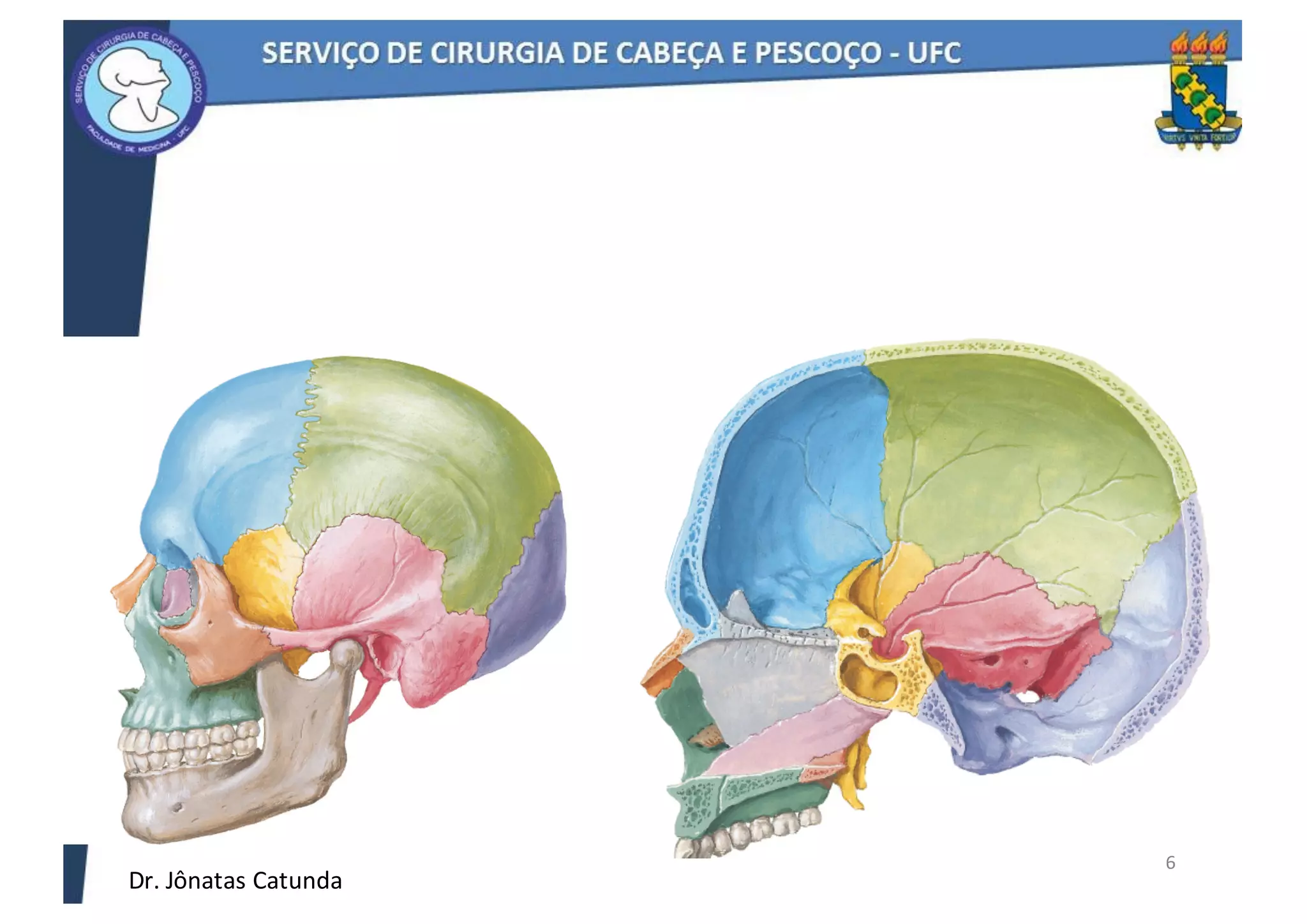 Anatomia de cabeça e pescoço - Dr Jônatas Catunda | PDF | Bone and ...