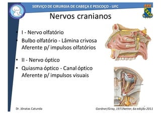 Anatomia de cabeça e pescoço - Dr Jônatas Catunda | PDF