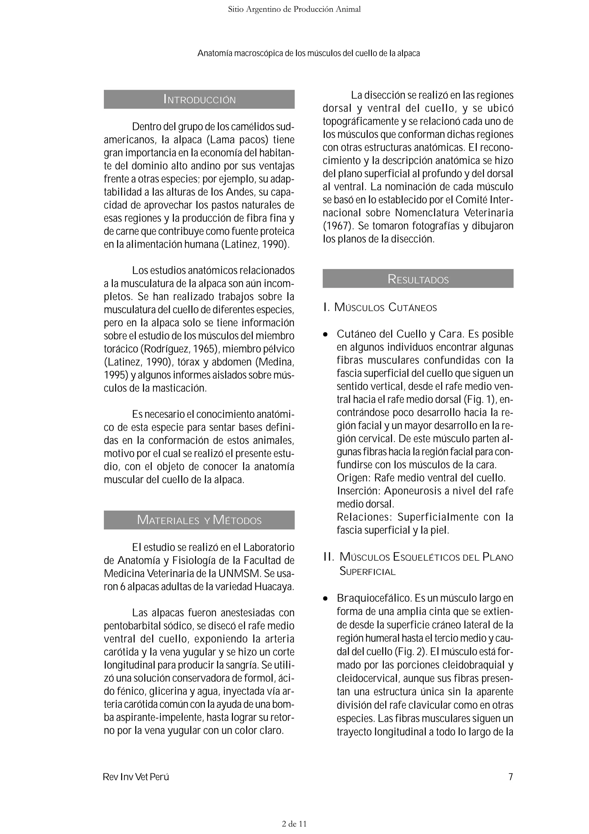 anatomia de cabeza y vuello de alpaca.pdf