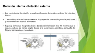 ANATOMIA DE CADERA_99cd937439d6dff4e6536a918c196594.pptx