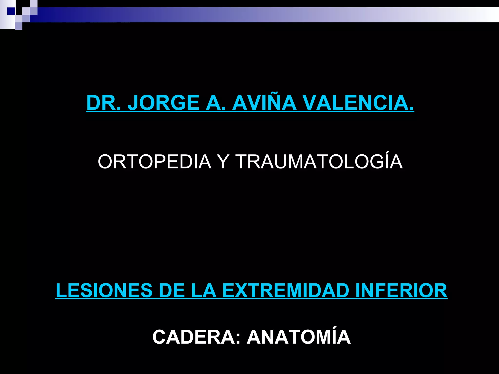 Anatomia de cadera y fx subt | PPT | Bodybuilding | Sports
