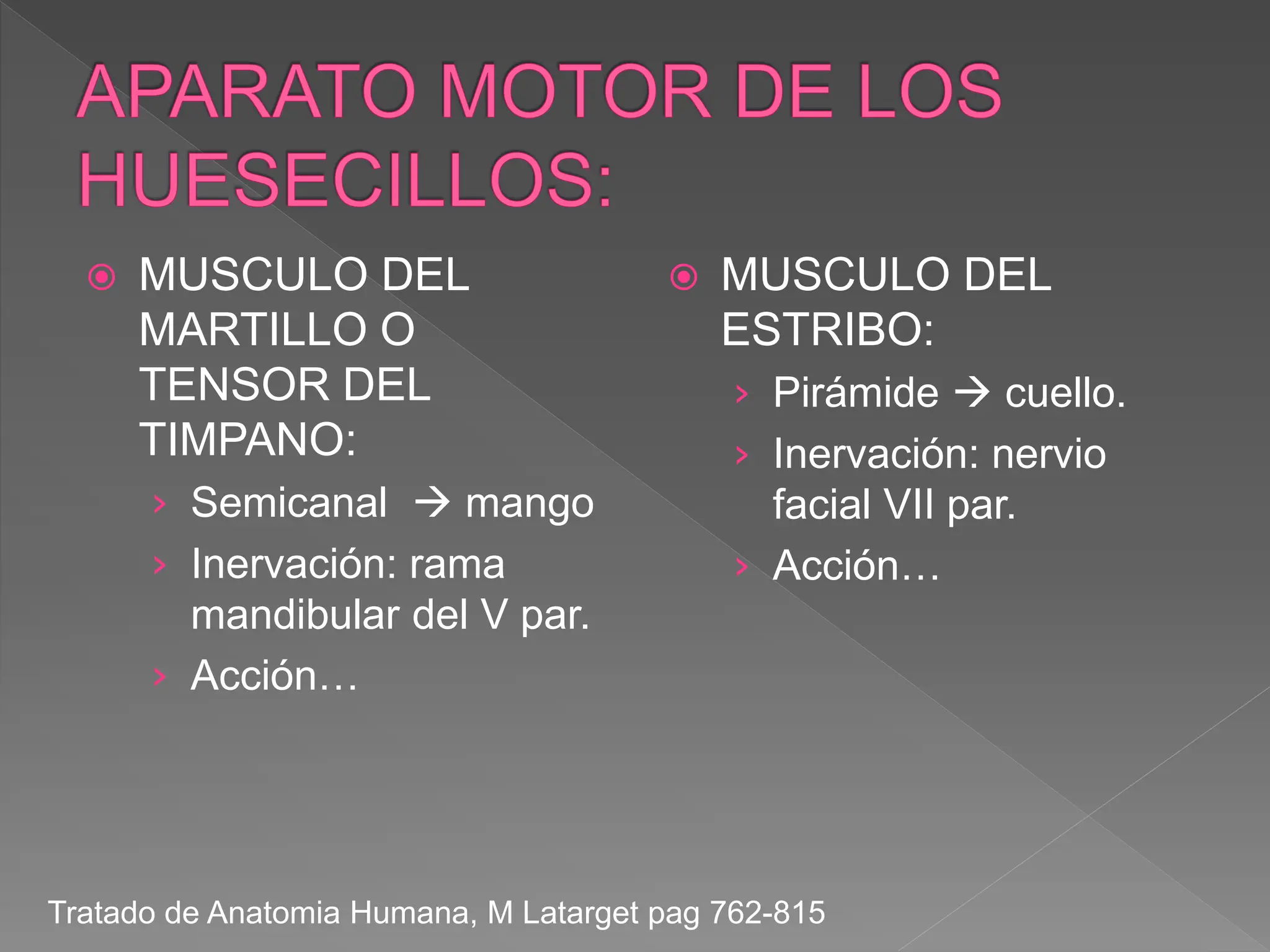 ANATOMIA DE CAJA TIMPANICA.ppt