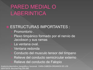 ANATOMIA DE CAJA TIMPANICA.ppt