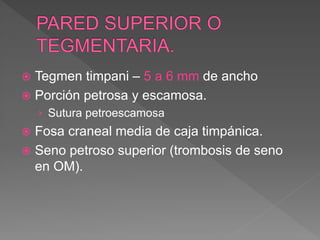 ANATOMIA DE CAJA TIMPANICA.ppt