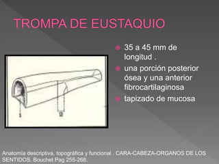 ANATOMIA DE CAJA TIMPANICA.ppt