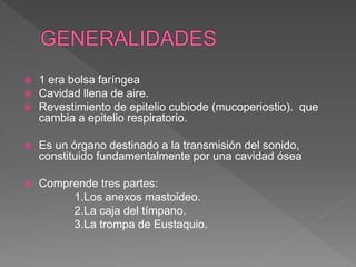 ANATOMIA DE CAJA TIMPANICA.ppt