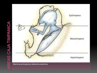 ANATOMIA DE CAJA TIMPANICA.ppt