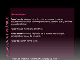 ANATOMIA DE CAJA TIMPANICA.ppt