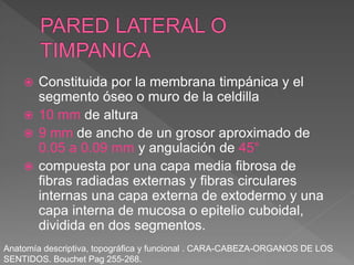 ANATOMIA DE CAJA TIMPANICA.ppt