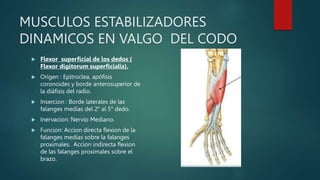 Anatomia de Codo.pptx