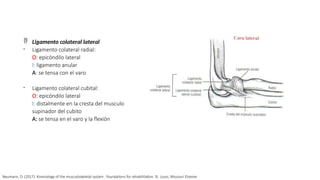 Anatomia del codo (enfasis en medicina de rehabilitacion) | PPTX