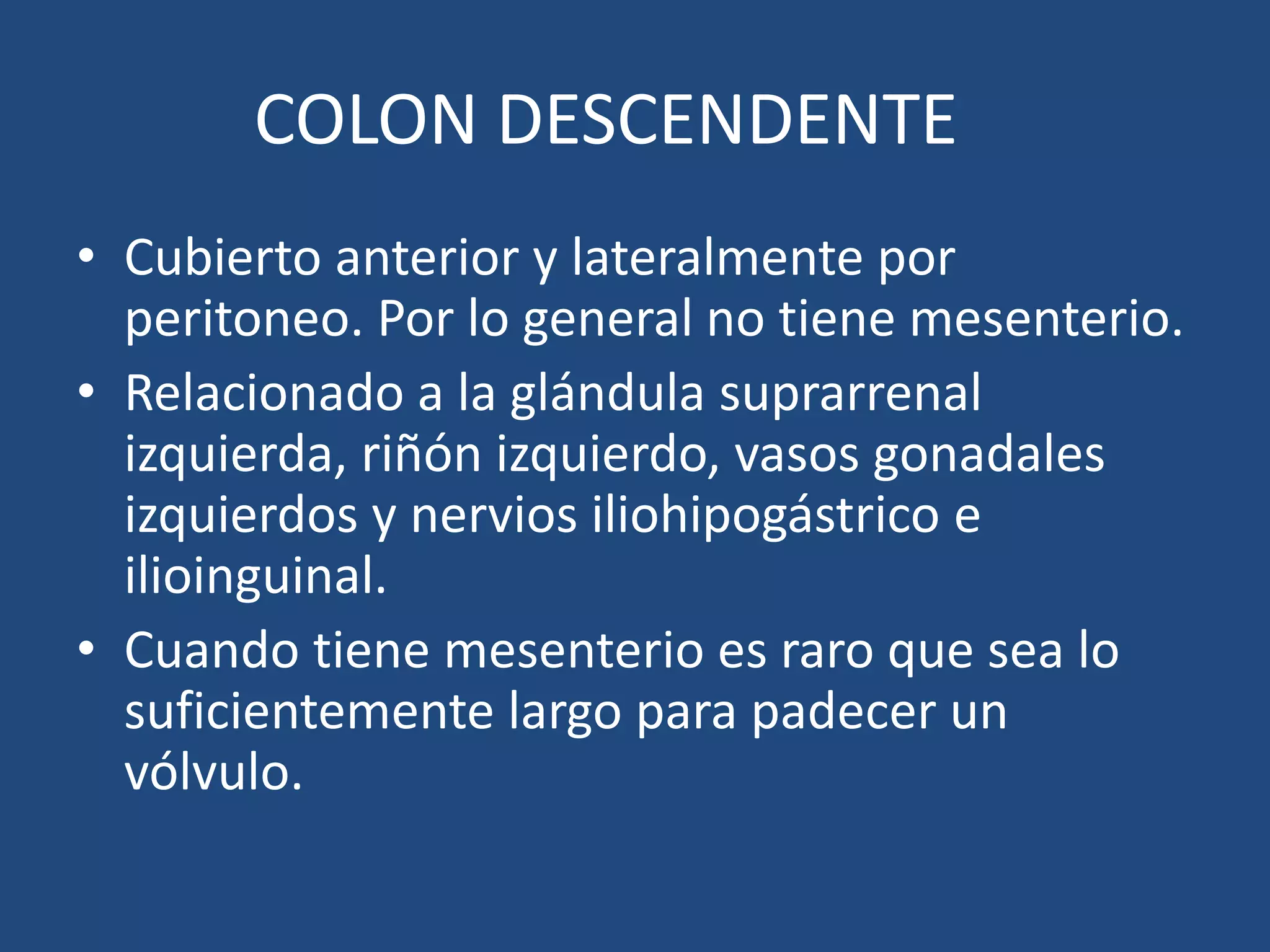 Anatomía de colon | PPTX