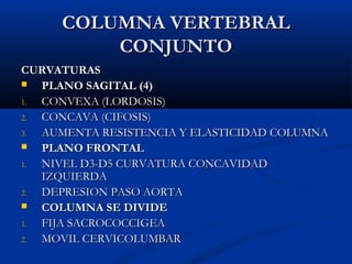 Anatomia de columna (2) | PPT