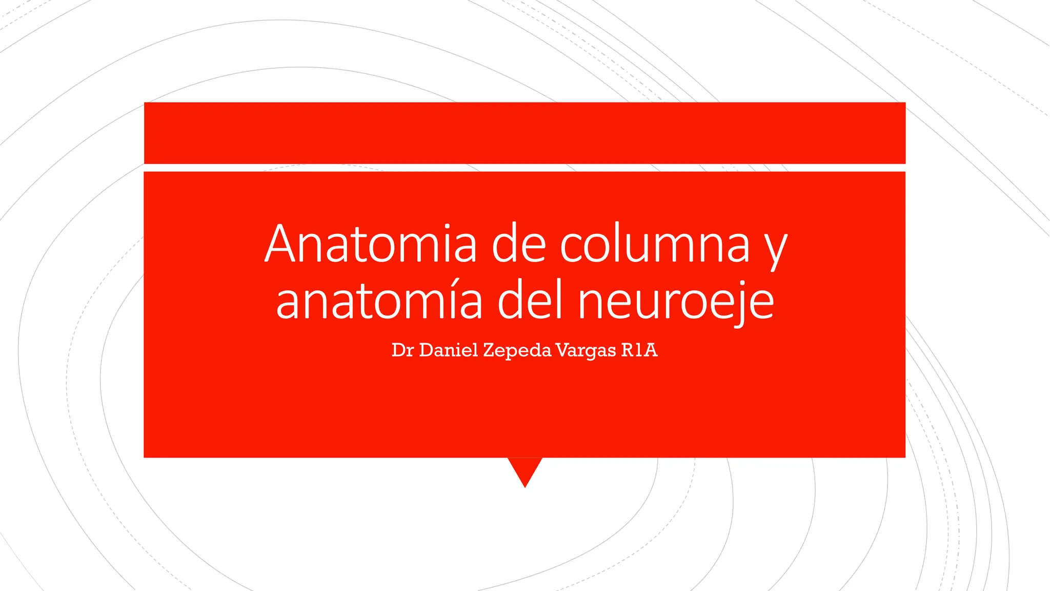 anatomia de columna y neuroeje. pptx | PPTX