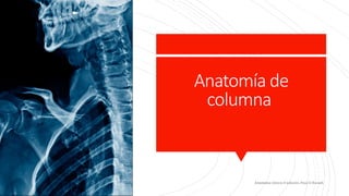 anatomia de columna y neuroeje. pptx | PPTX