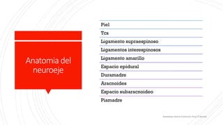 anatomia de columna y neuroeje. pptx | PPTX