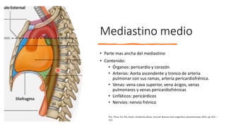 Anatomia de corazon y mediastino.pptx