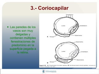 Anatomia de coroides y retina clase vesp | PPTX