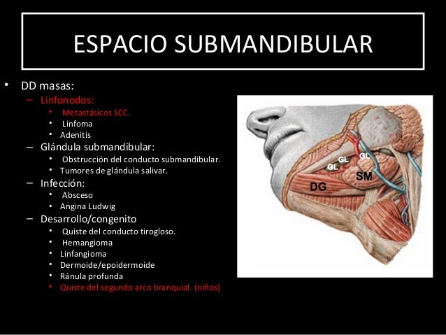 ANATOMIA DEL CUELLO EN TC