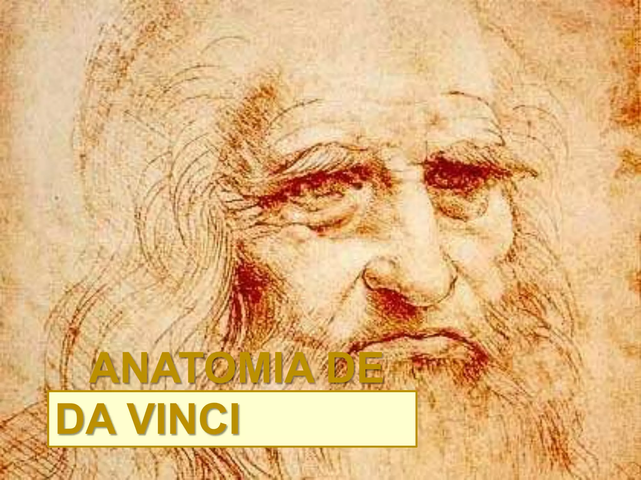 Leonardo Da Vinci Anatomía | PPTX