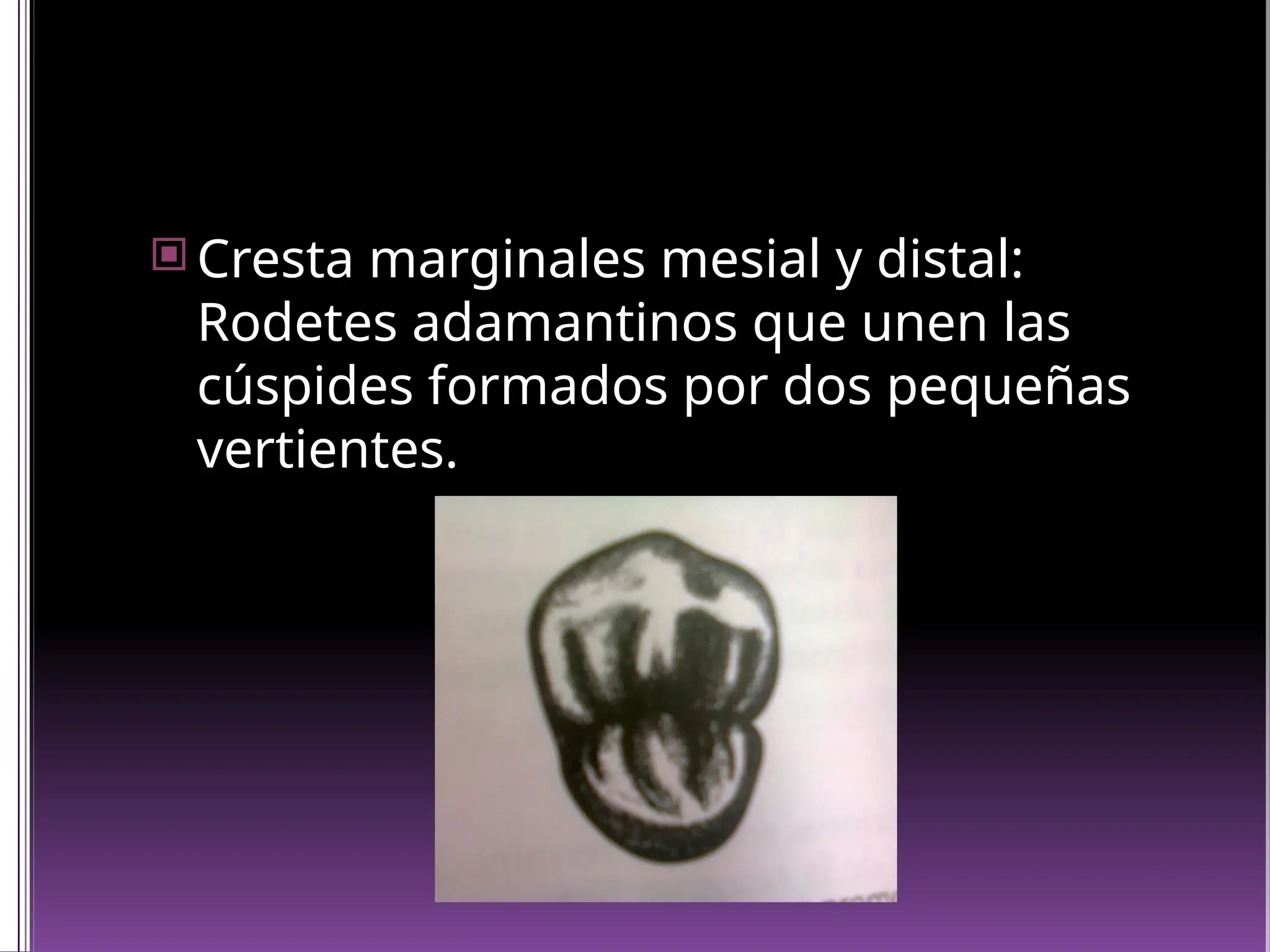 ANATOMIA DE DIENTES POSTERIORES SUPERIORES.pptx