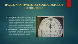 ANATOMIA DE PACIENTES EDENTULOS. en prostodoncia. | PPTX