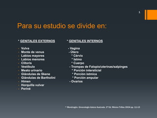 Anatomía del Ap. genital Femenino | PPTX