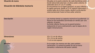anatomia de glandula mamaria.presentacion | PPTX