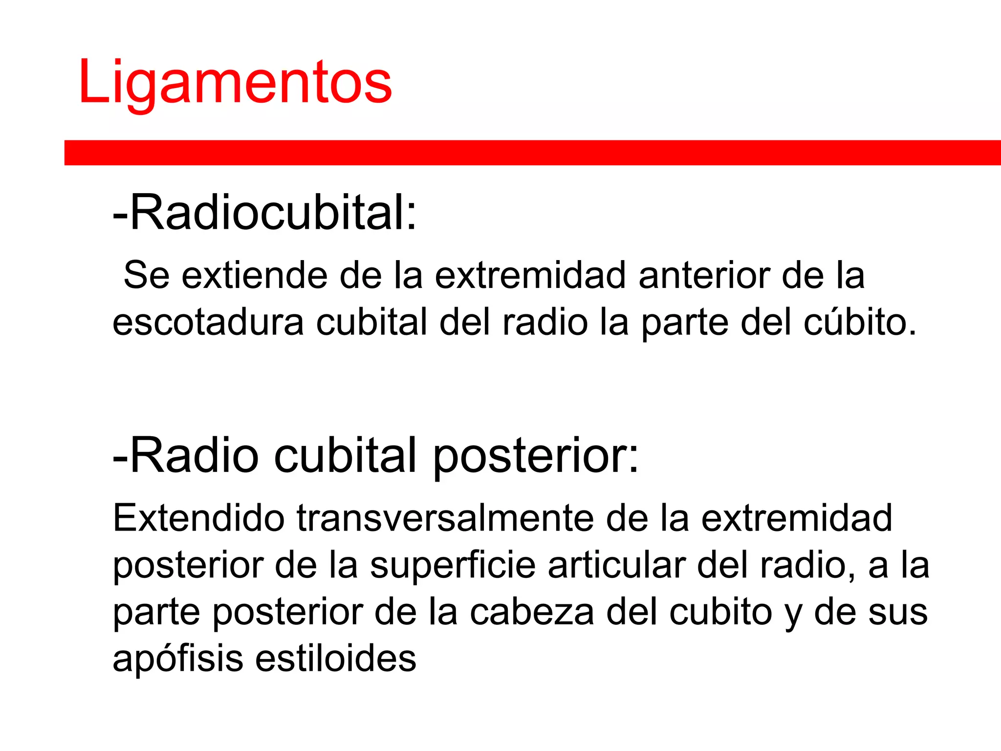 Anatomia de la articulación del codo | PPTX