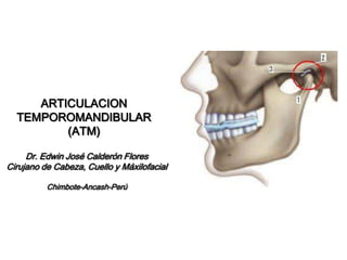 ANATOMIA DE LA ARTICULACION TEMPOROMANDIBULAR | PPT