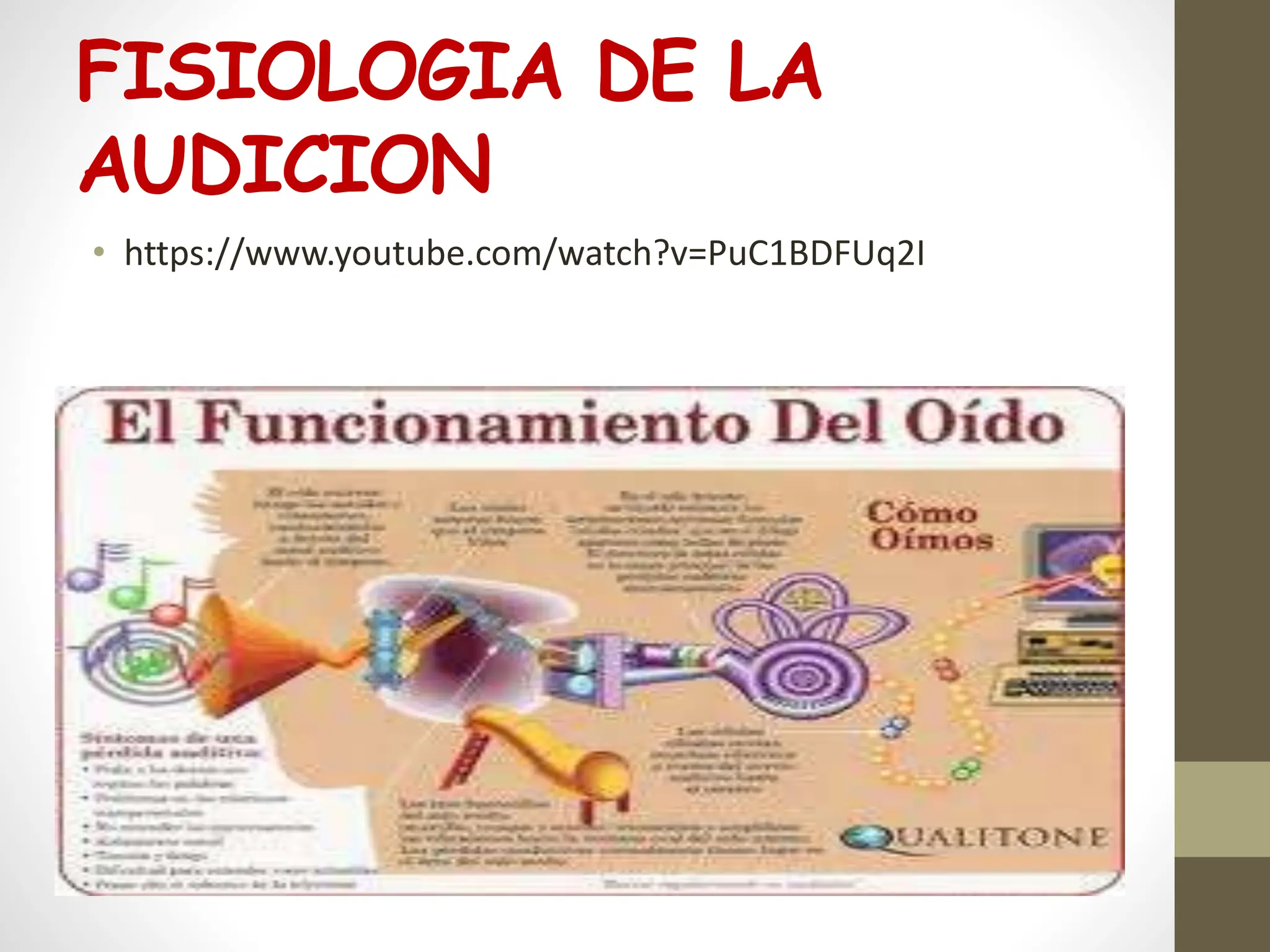 Anatomia de la audicion y características | PPT