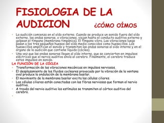 Anatomia de la audicion y características | PPTX