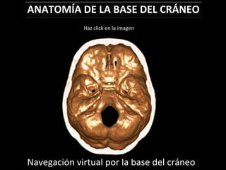 Anatomia de la base del craneo | PPT