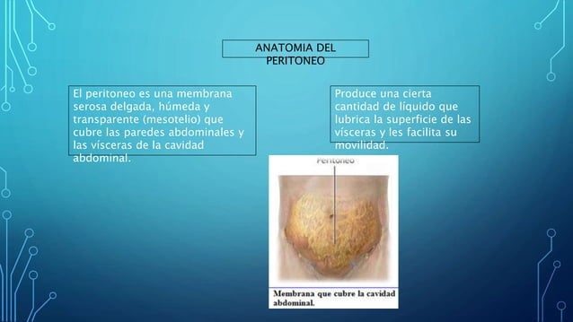 Abdomen Anatomia del Peritoneo y cavidad Peritoneal | PPTX | Surgery ...