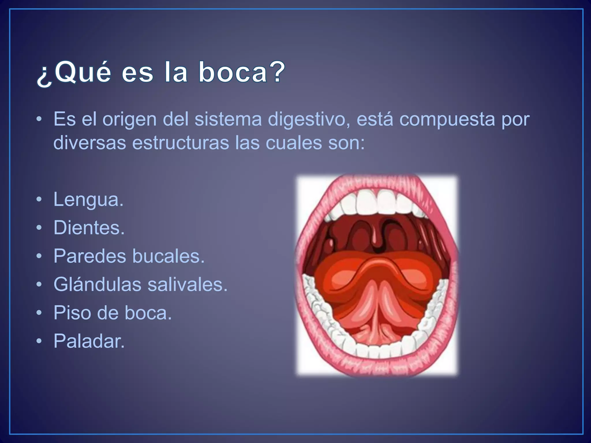 Anatomia de la boca | PPTX