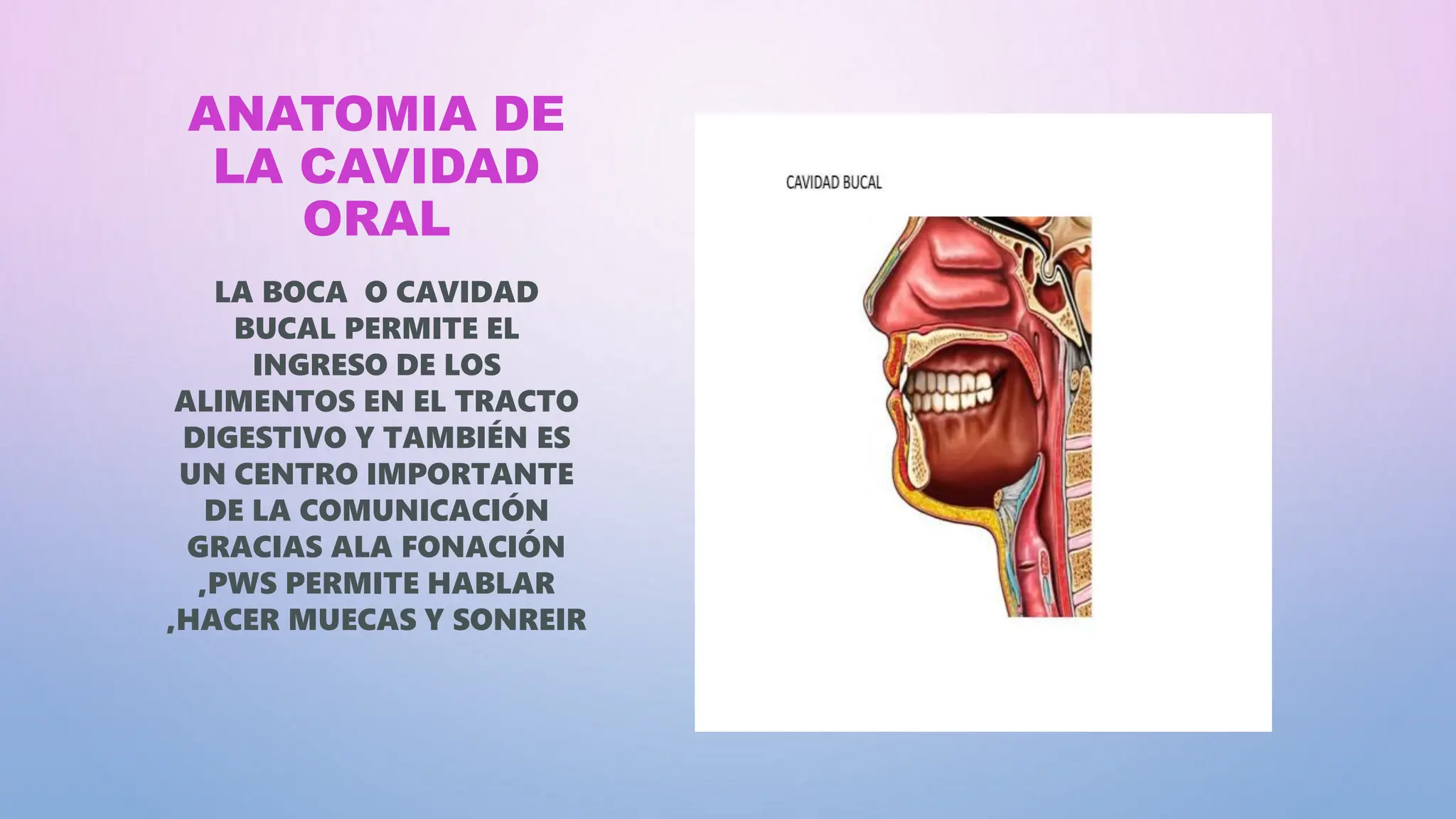 ANATOMIA DE LA CAVIDAD ORAL.pptx