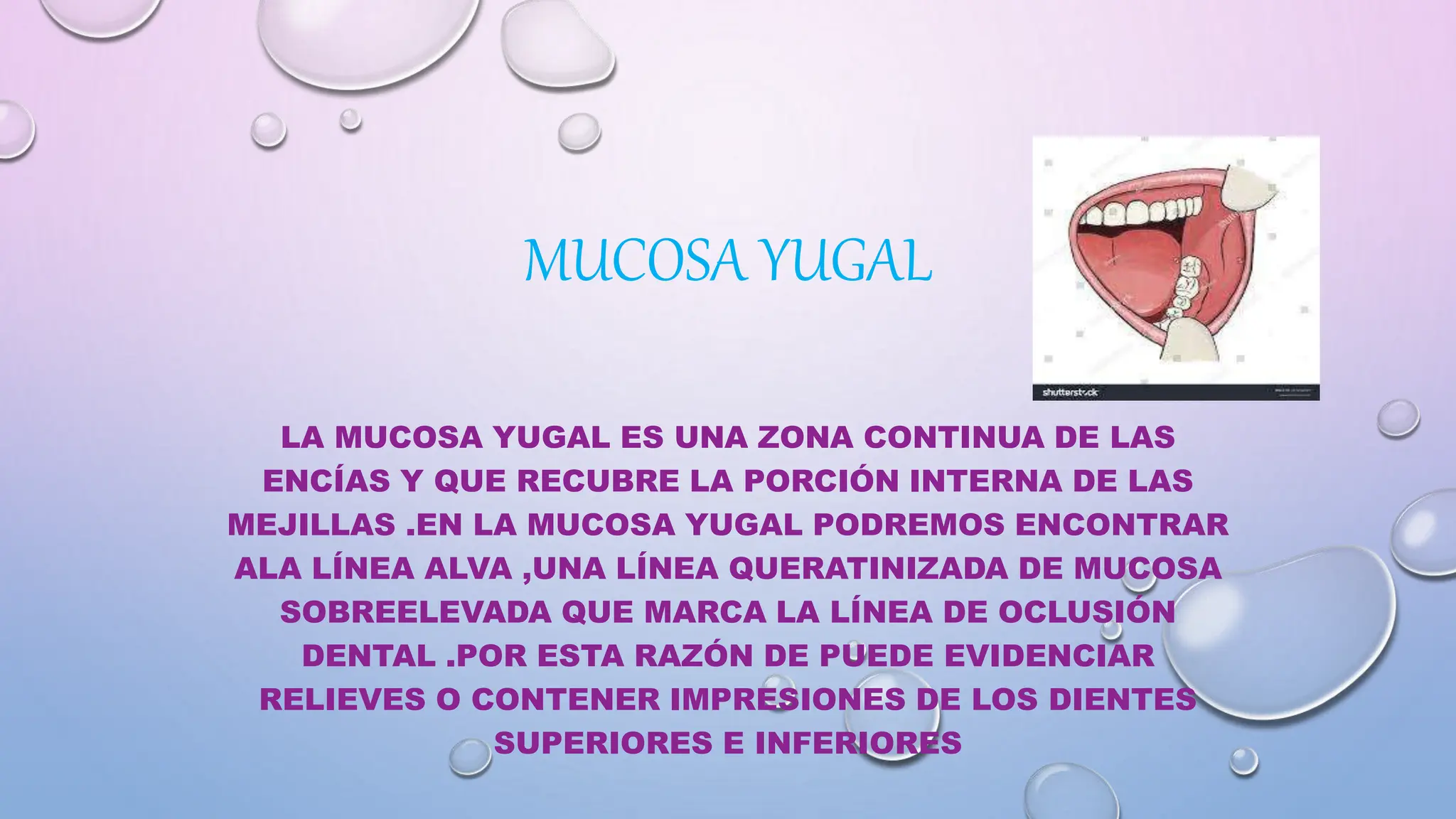 ANATOMIA DE LA CAVIDAD ORAL.pptx